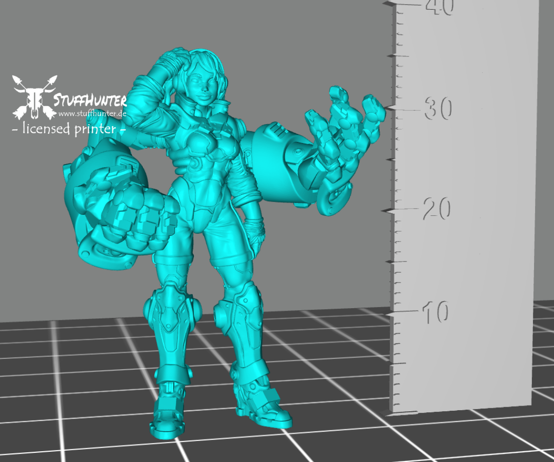 Pashneya Cyber Ravager – STUFFHUNTER